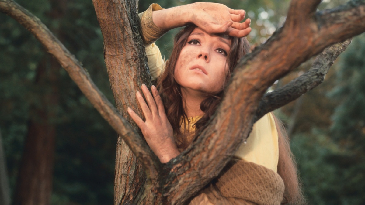 A Midsummer Night's Dream - Apple TV