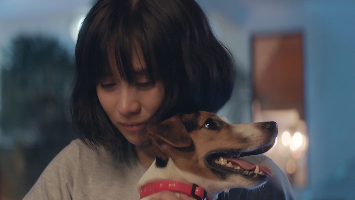 Unforgettable | Apple TV