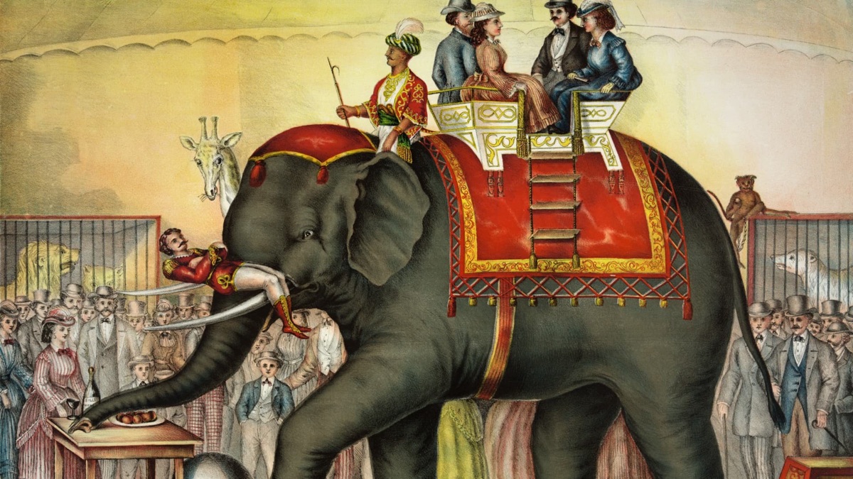 The Ringling Brothers: Kings of the Circus - Apple TV