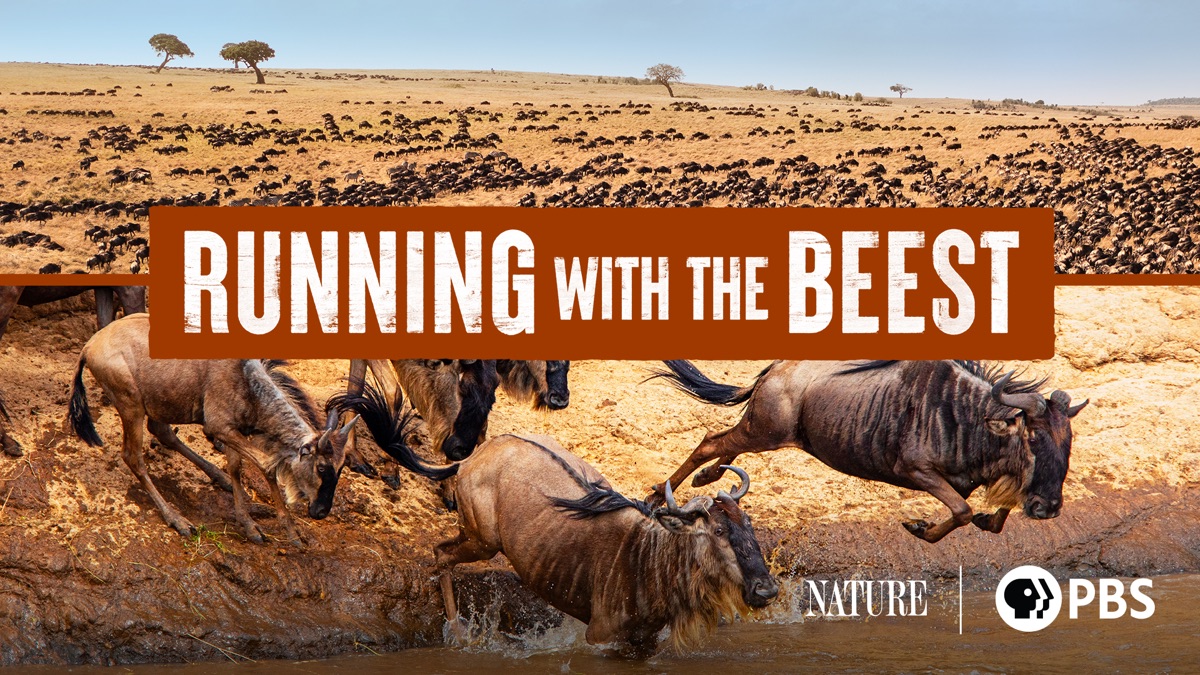 Running with the Beest - Apple TV