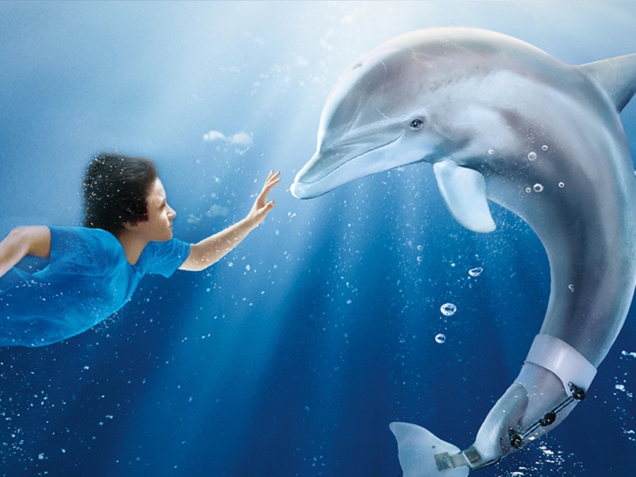 Dolphin Tale - Apple TV