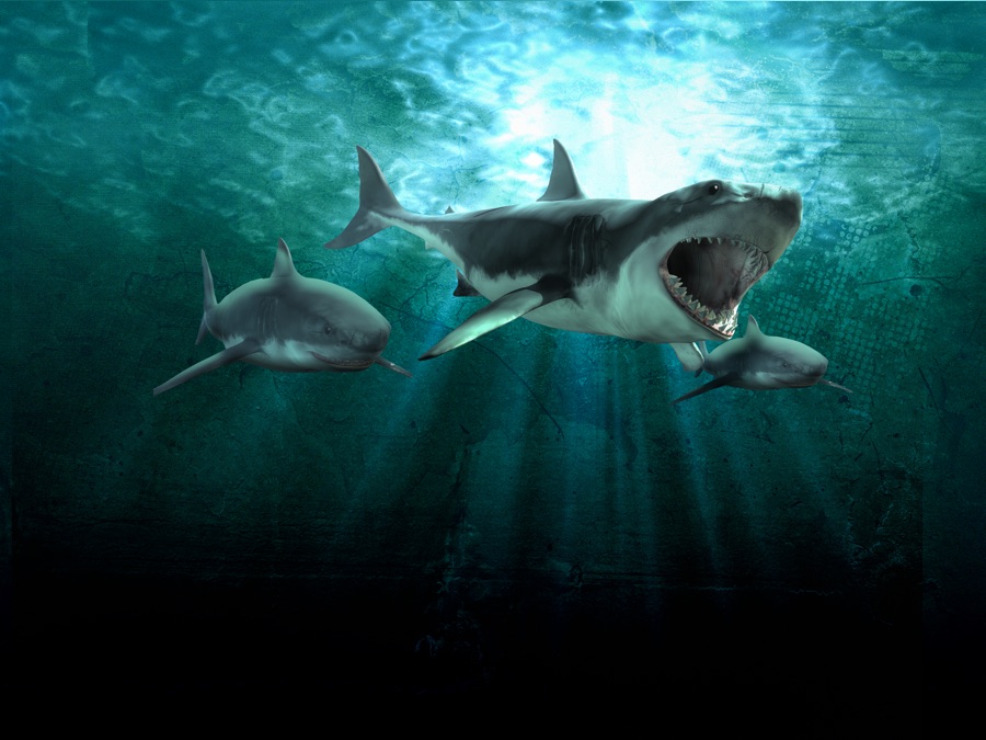 Shark Queens | Apple TV (CA)