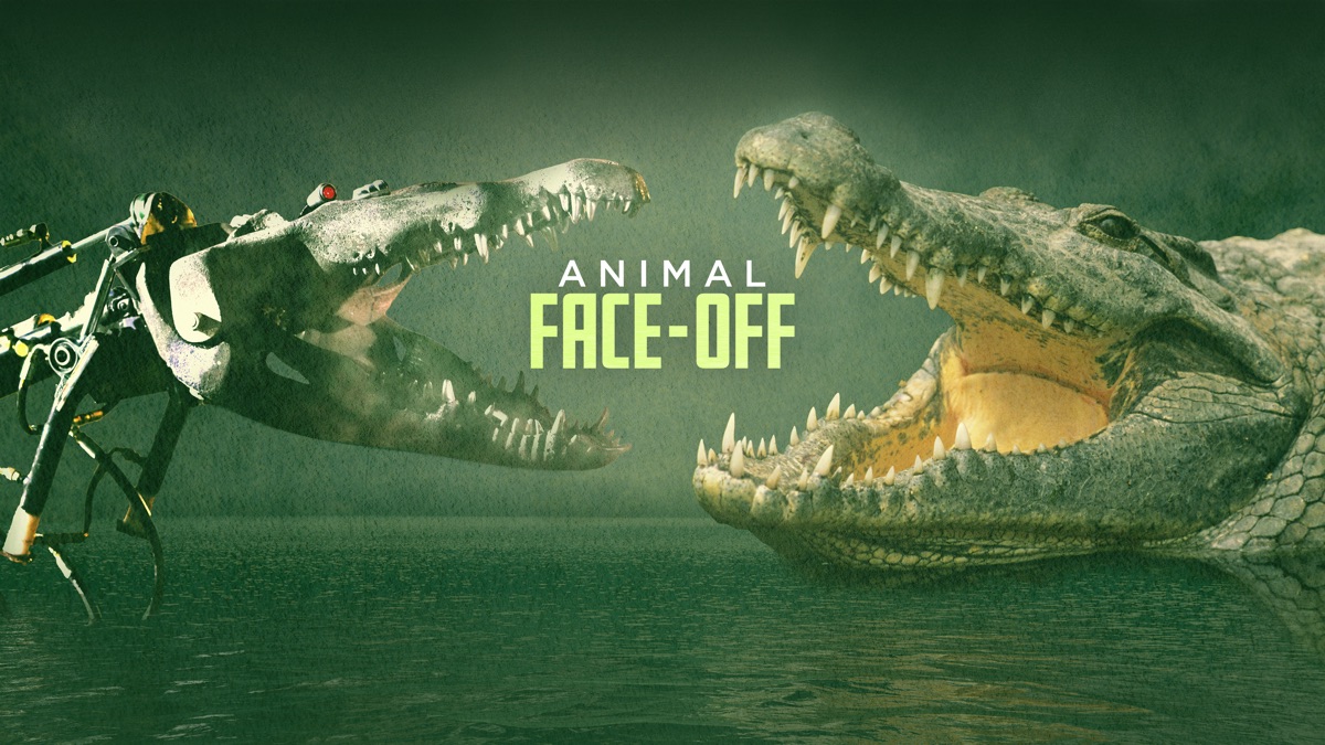 Animal Face-Off | Apple TV