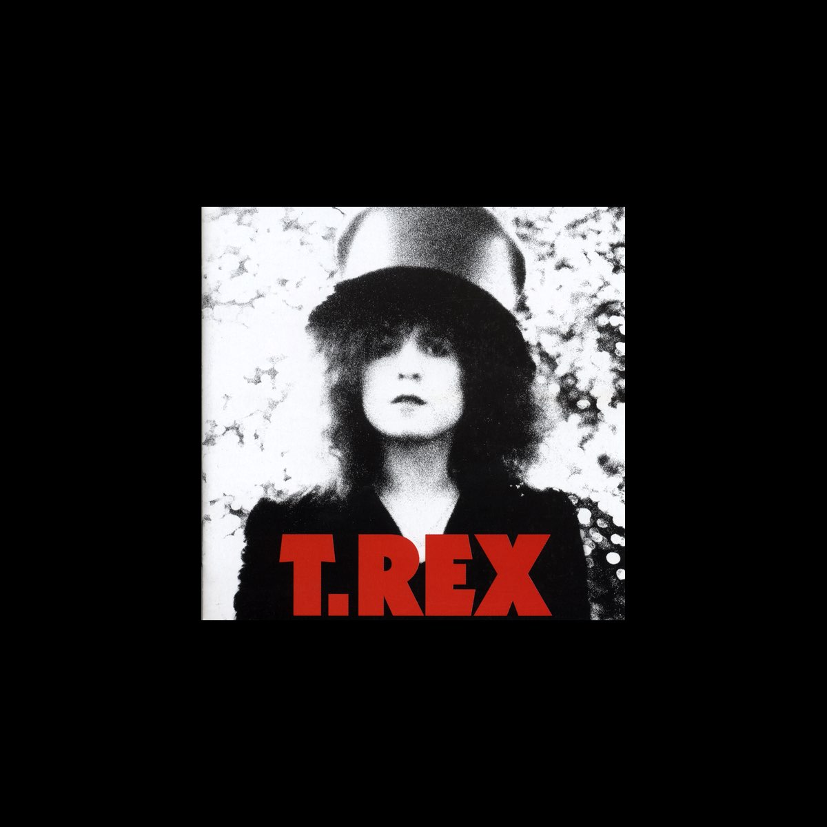 ‎The Slider (Deluxe) by T. Rex on iTunes