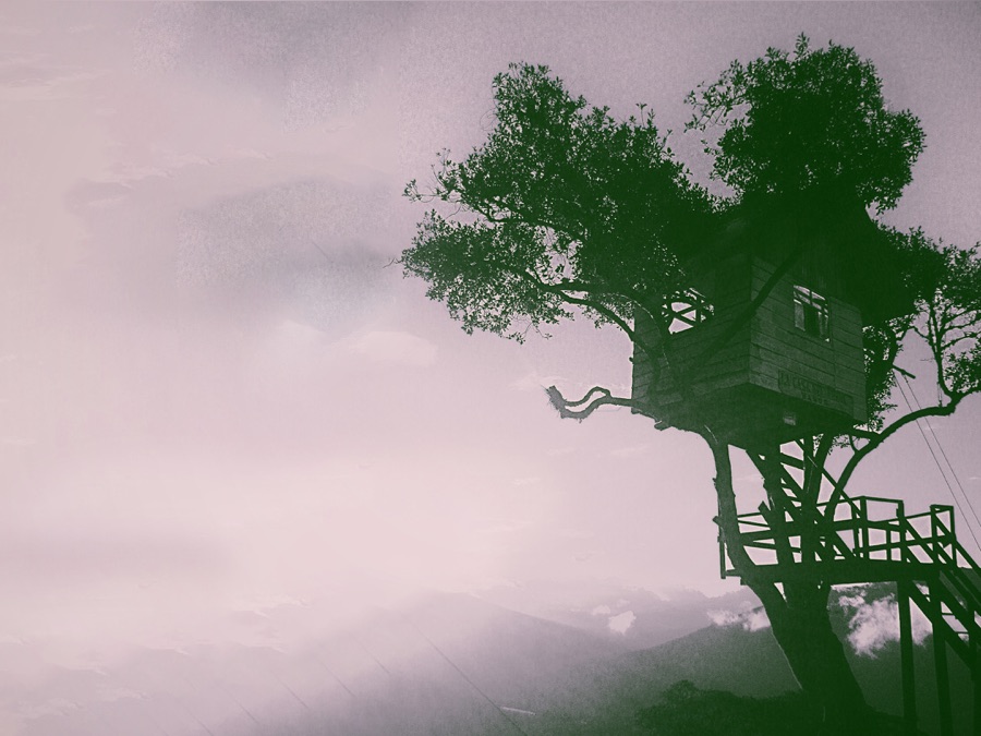 Ultimate Treehouses | Apple TV (UK)