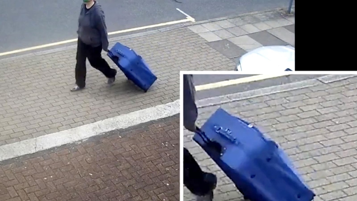 Body In The Suitcase: The Murder of Deborah Chong 1 - Body In The ...