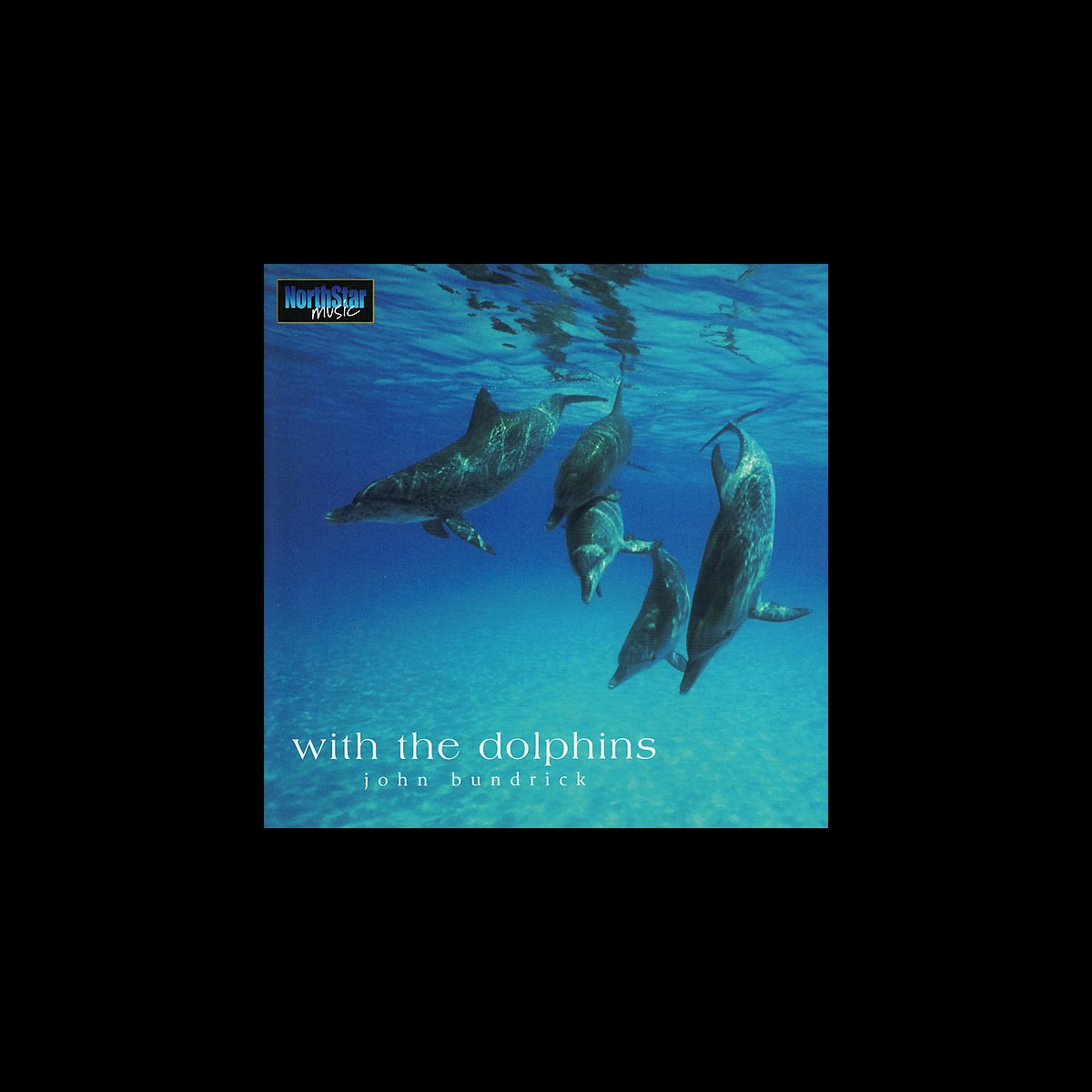 ‎With the Dolphins by John Bundrick on Apple Music