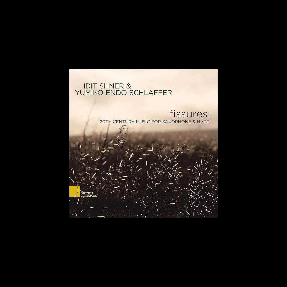 ‎Fissures: 20th Century Music for Saxophone and Harp by Idit Shner ...