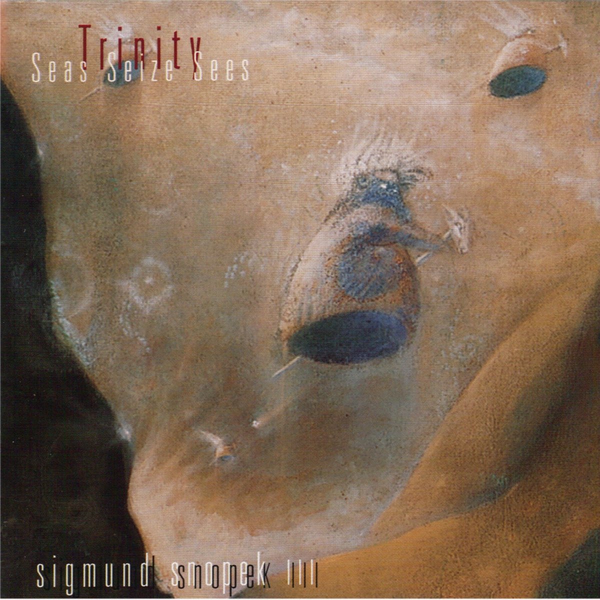 ‎Sigmund Snopek IIIの「Trinity - Seas Seize Sees」をApple Musicで