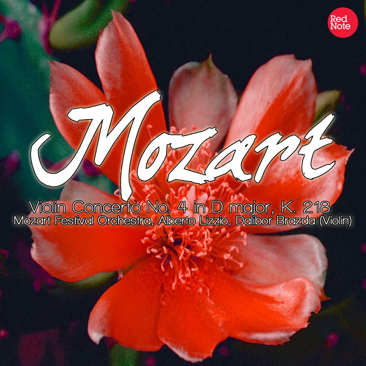 ‎Mozart: Violin Concerto No. 4 in D major, K. 218 by Mozart Festival ...