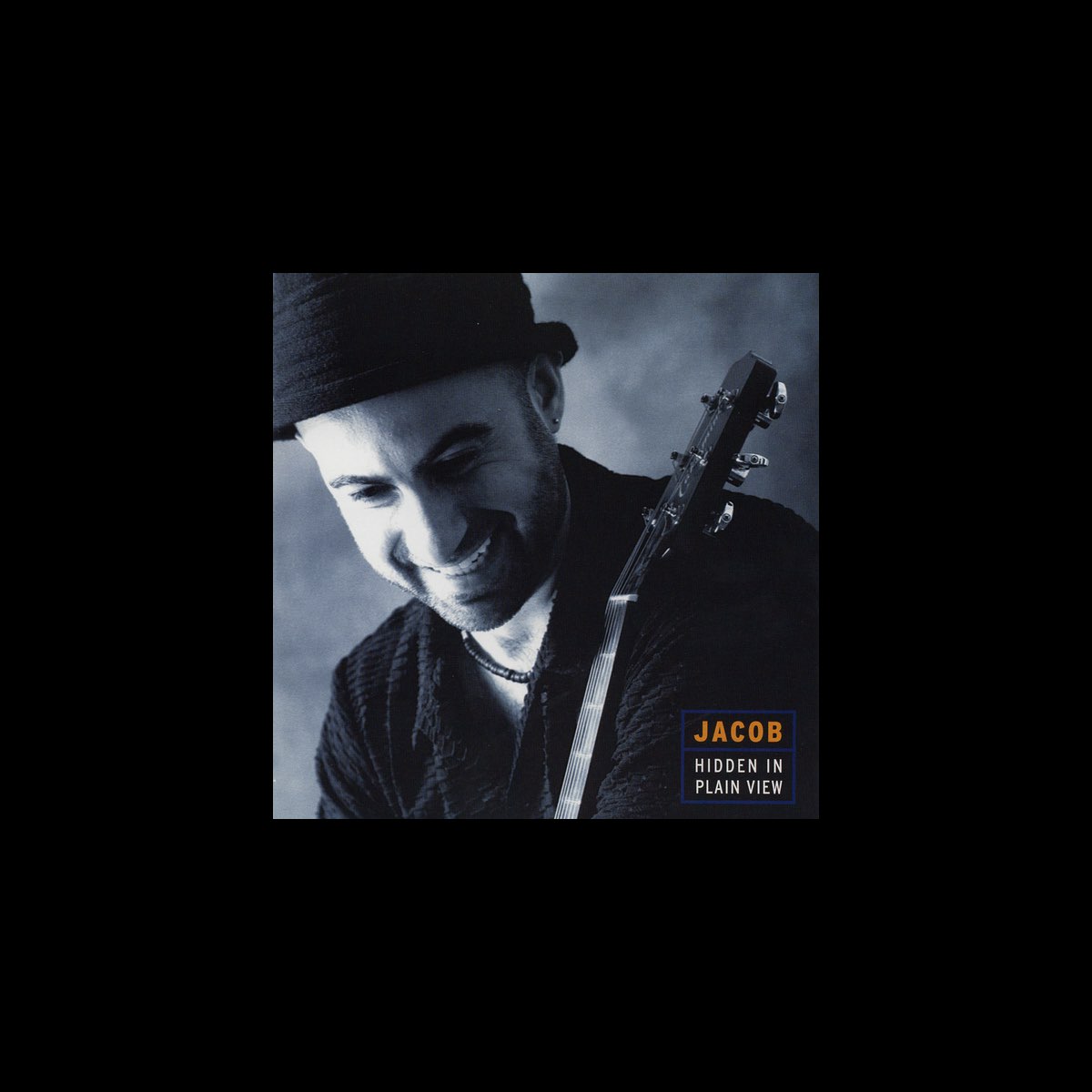 ‎Hidden In Plain View by Jacob on Apple Music