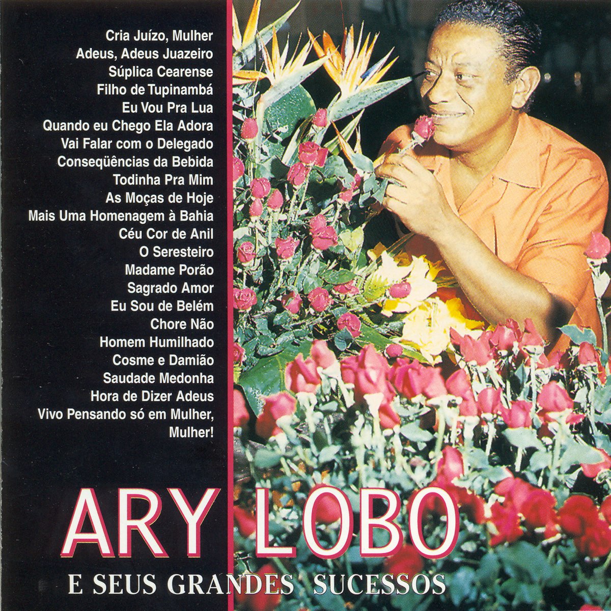 ‎Ary Lobo: E Seus Grandes Sucessos de Ary Lobo en Apple Music