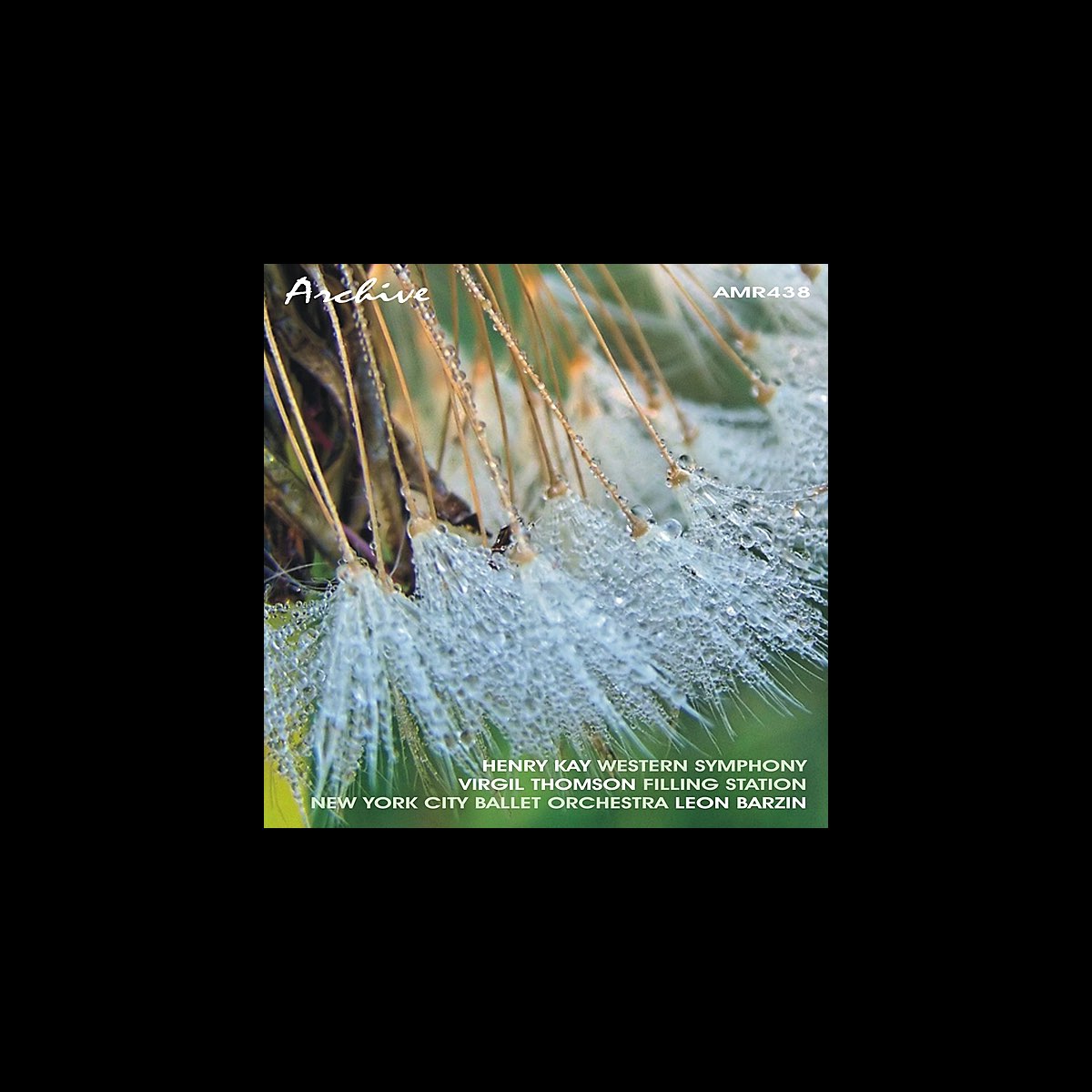 ‎Western Symphony - Filling Station by New York City Ballet Orchestra ...