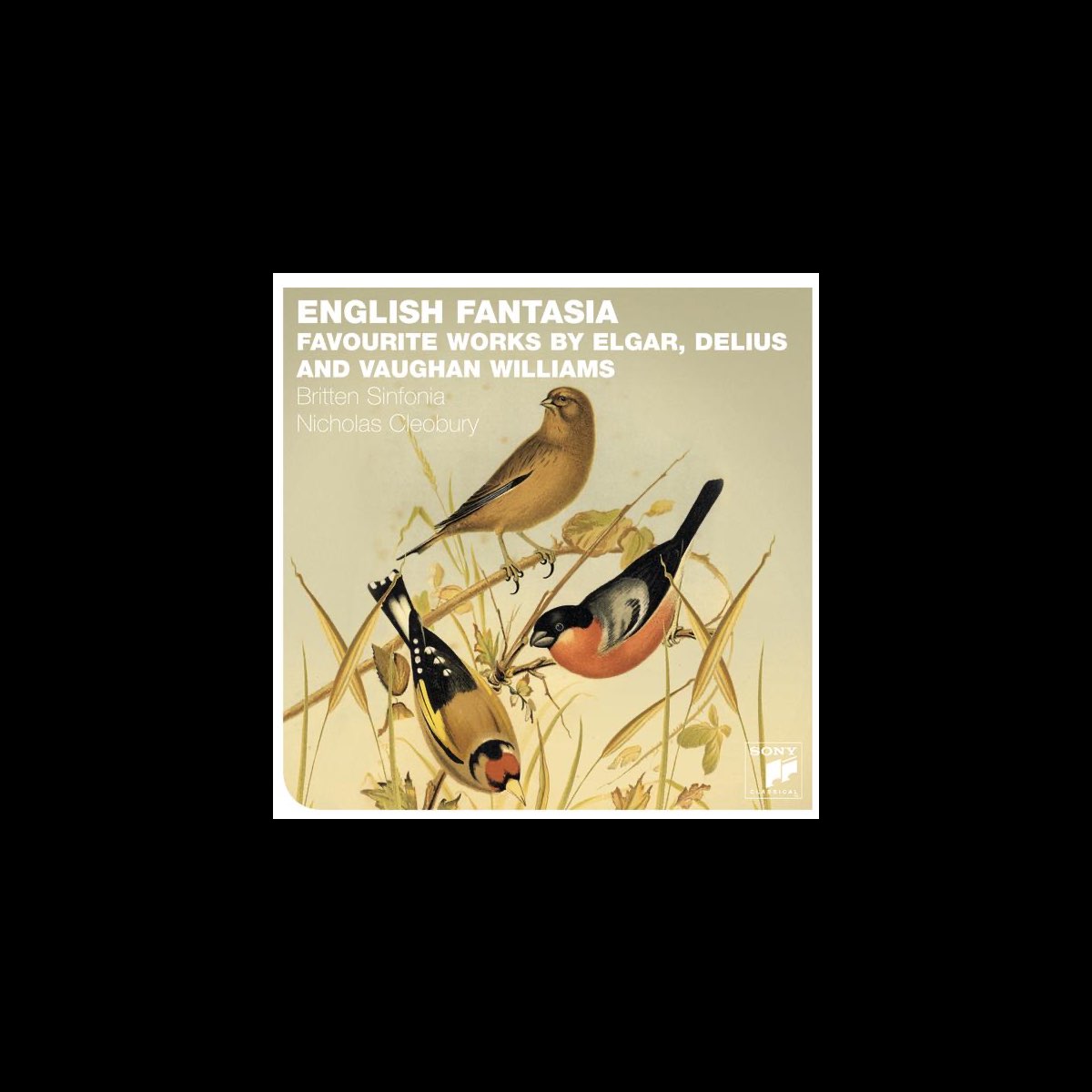 ‎English Fantasia - Vaughan Williams, Delius & Elgar by Britten ...