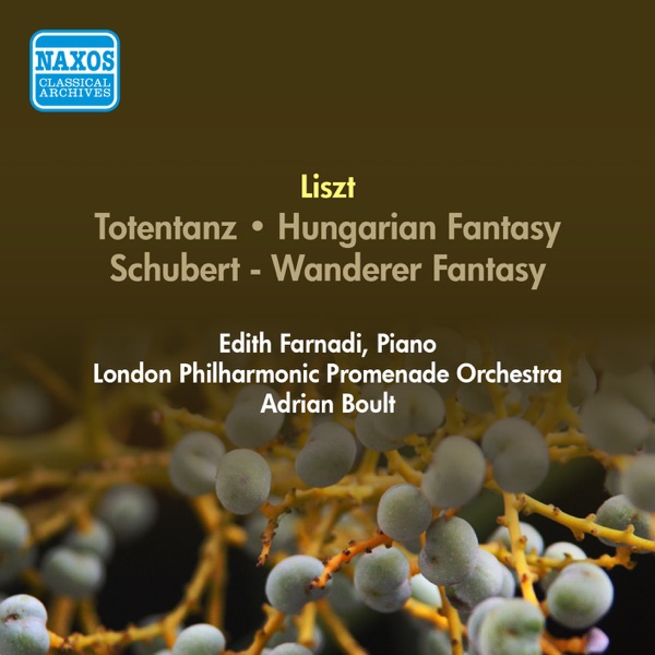 Liszt, F.: Totentanz - Hungarian Fantasy - Schubert - Wanderer Fantasy ...