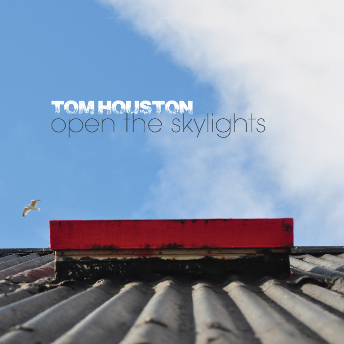 ‎Open the Skylights by Tom Houston on Apple Music
