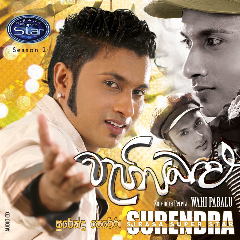 Villuda Punchi Depa - Surendra Perera | Shazam