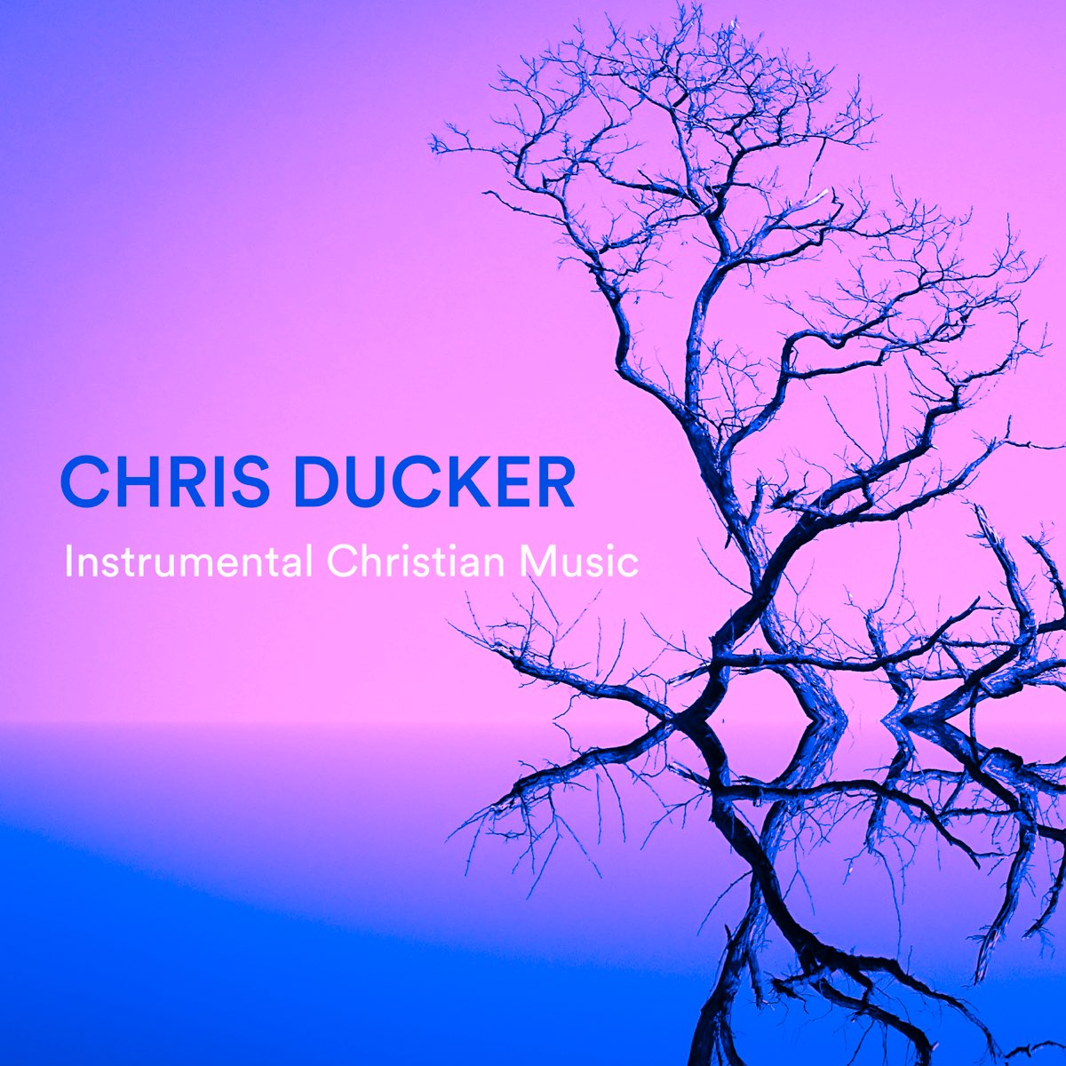 ‎Instrumental Christian Music by Chris Ducker on Apple Music