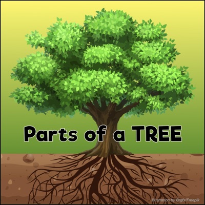 Parts of a Tree - Dave Franco & Pittman | Shazam