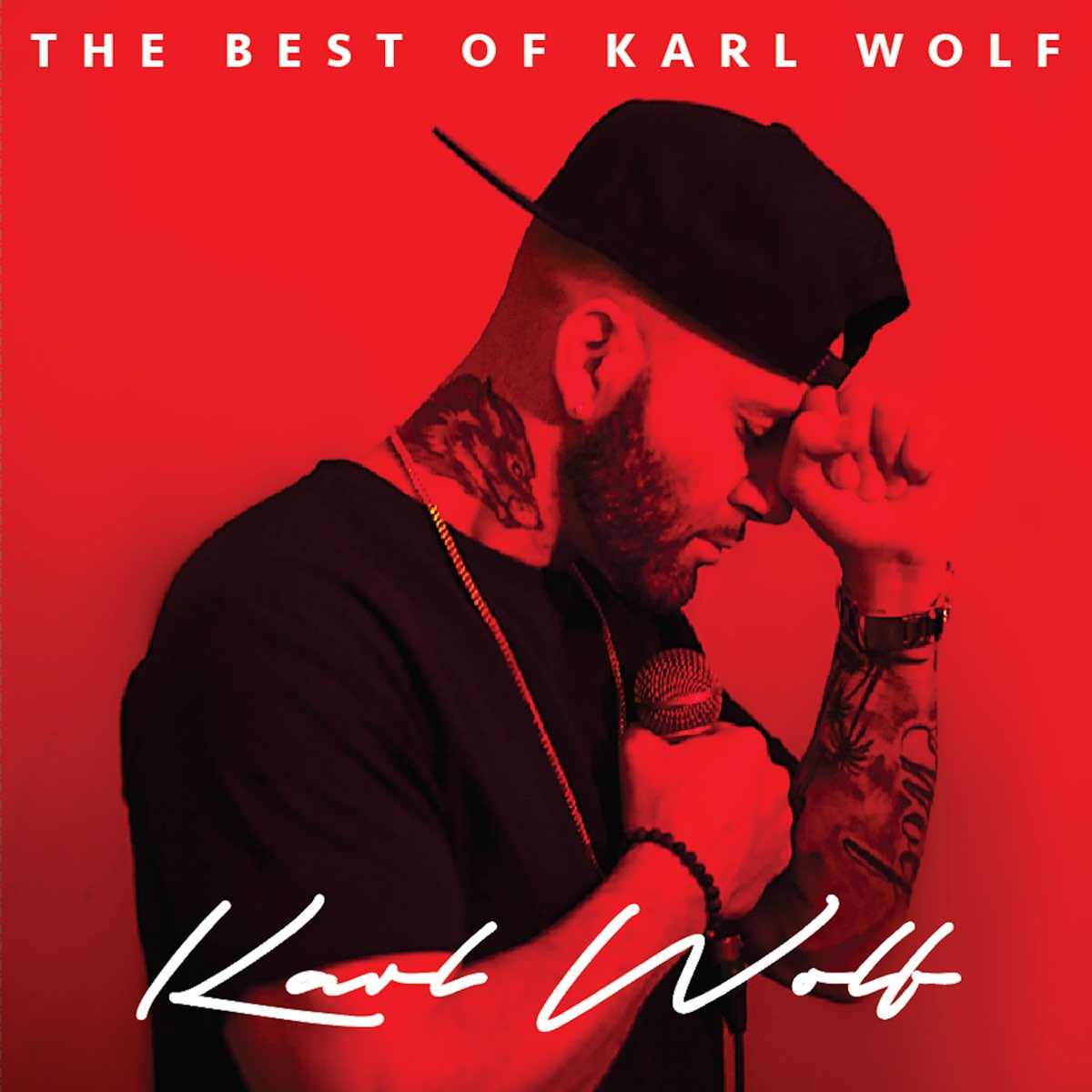 ‎Best Of Karl Wolf de Karl Wolf en Apple Music