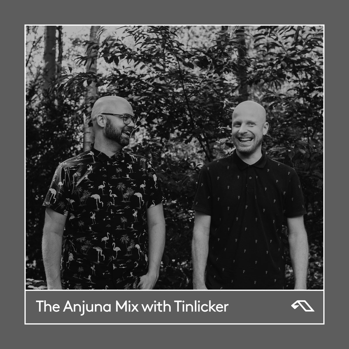 ‎The Anjuna Mix with Tinlicker (DJ Mix) by Tinlicker on Apple Music