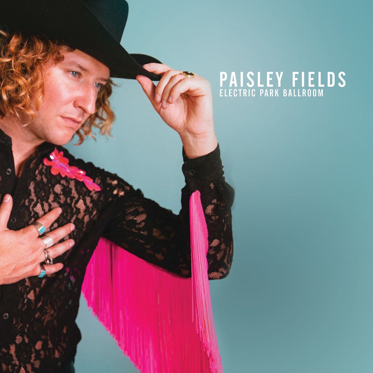 ‎Apple Music 上Paisley Fields的专辑《Electric Park Ballroom》