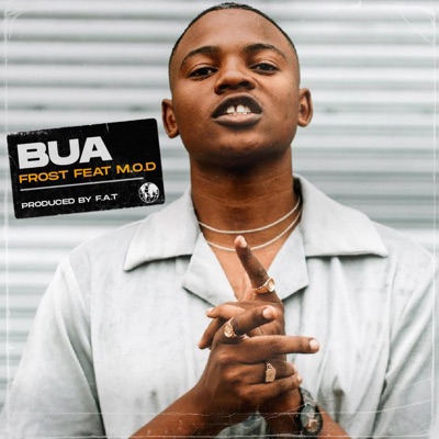 Bua (feat. M.O.D) - Frost Legato | Shazam