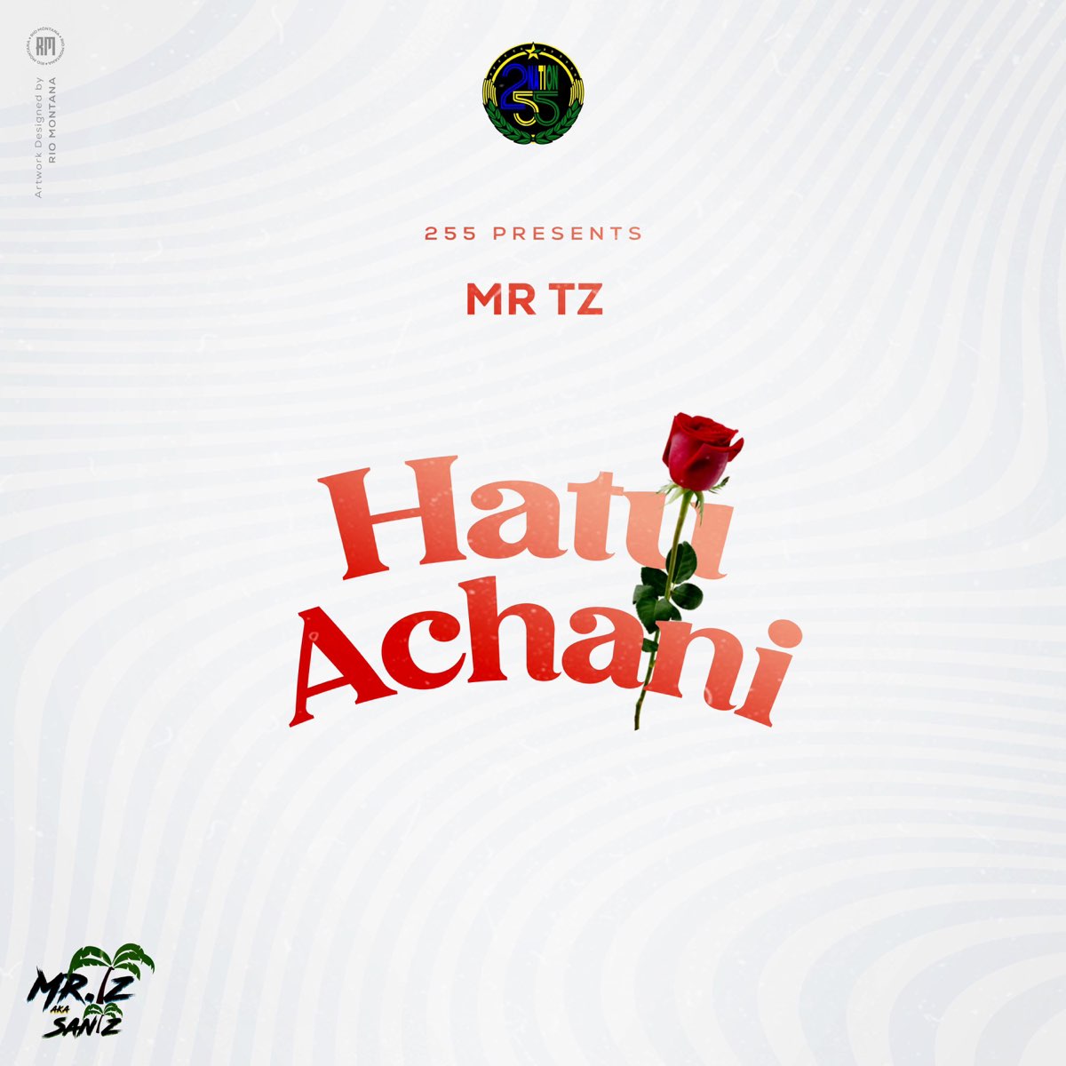 Mr.Tz aka SanTz 🇹🇿🎶 | TikTok | Linktree