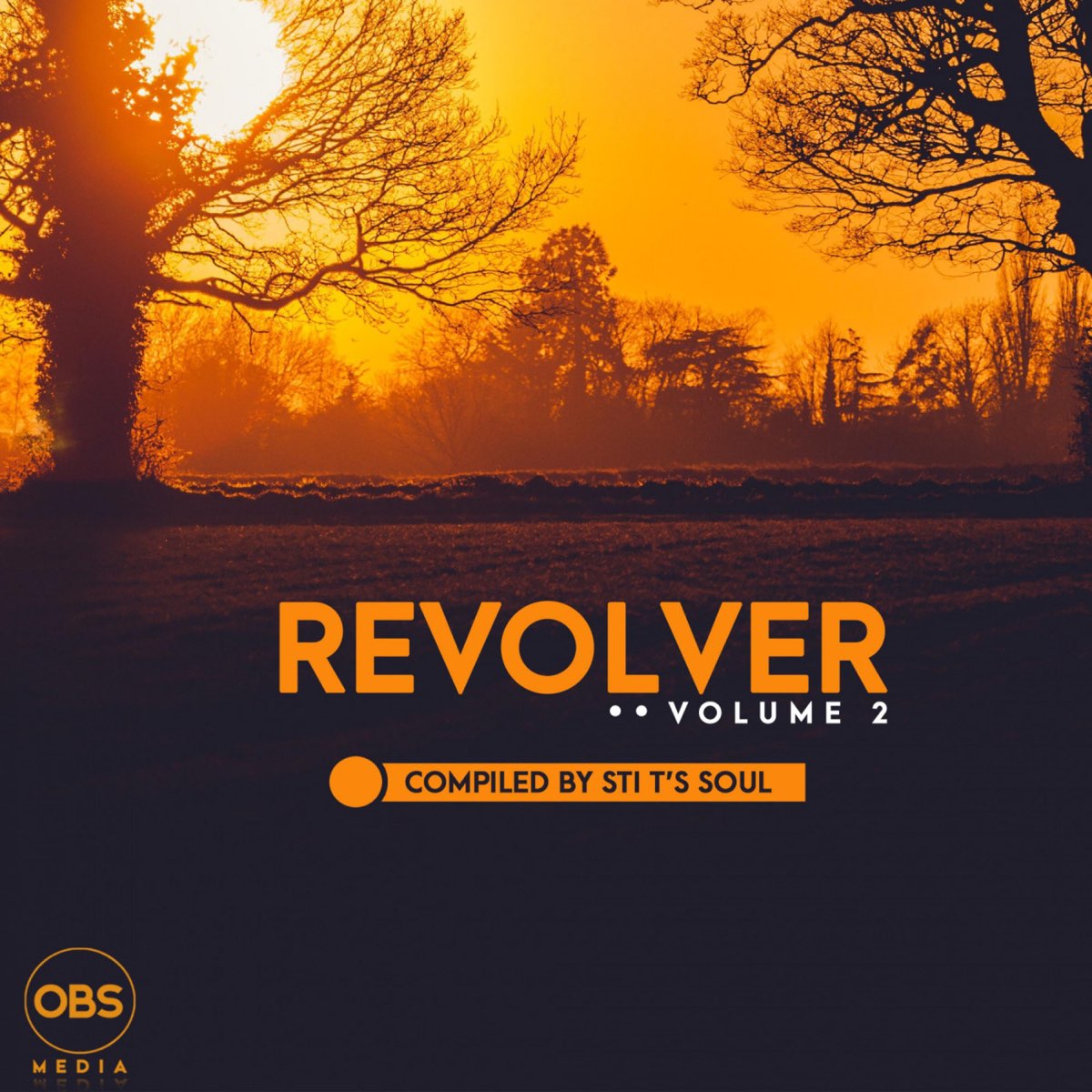 ‎Revolver Volume 2 Compiled By STI T's Soul by STI T's Soul on Apple Music