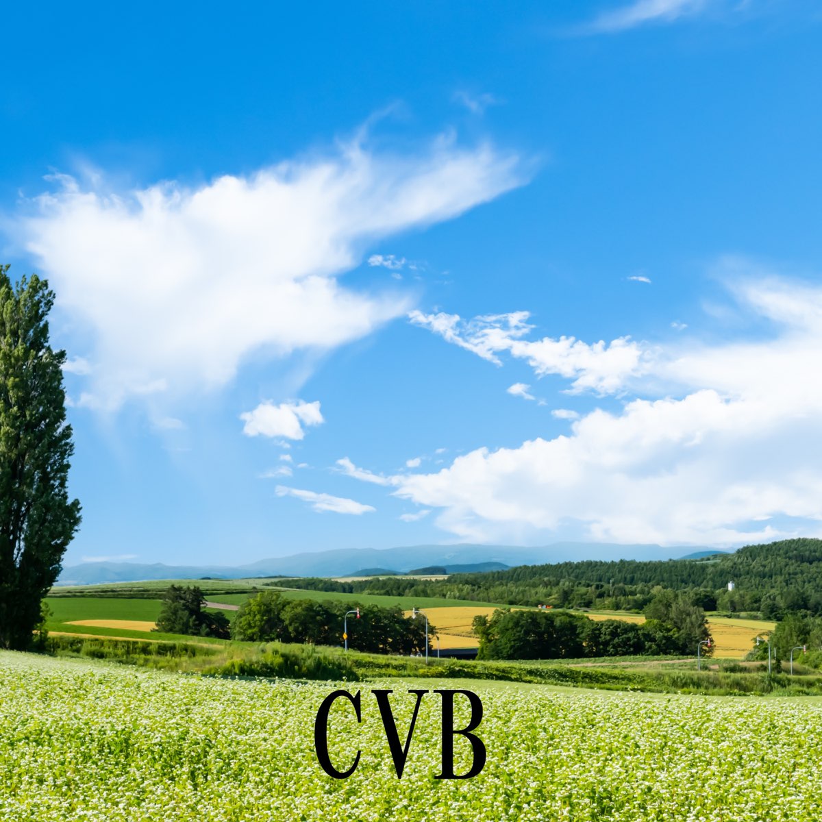 ‎apple Music 上cvb的专辑《cvb》
