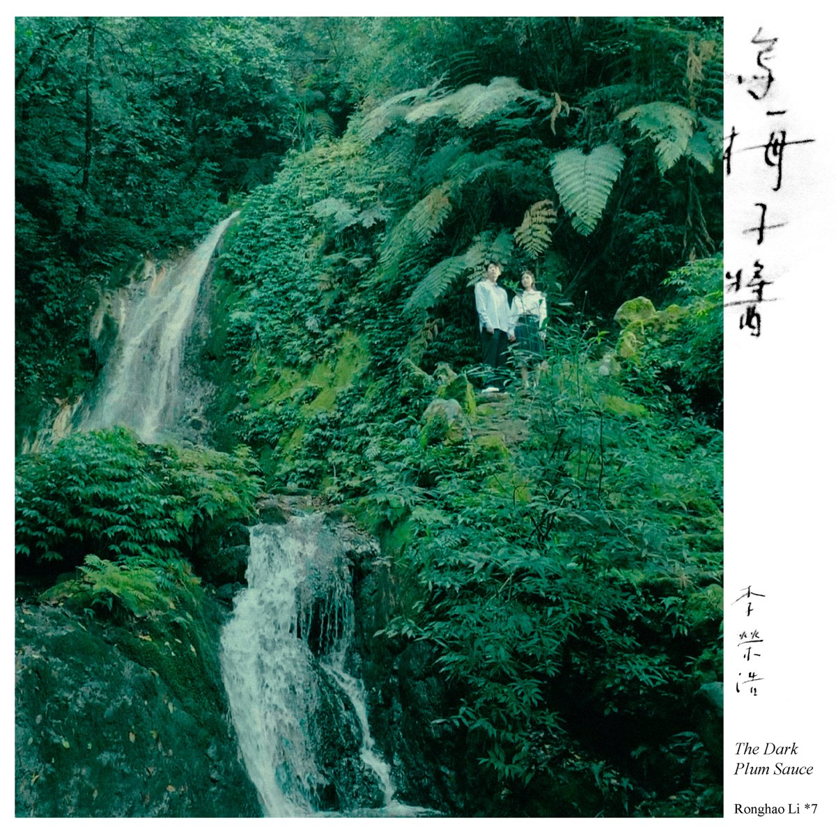 ‎apple Music 上李荣浩的专辑《乌梅子酱 Single》