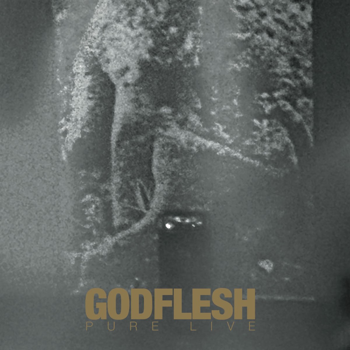 ‎PURE Live by Godflesh on Apple Music