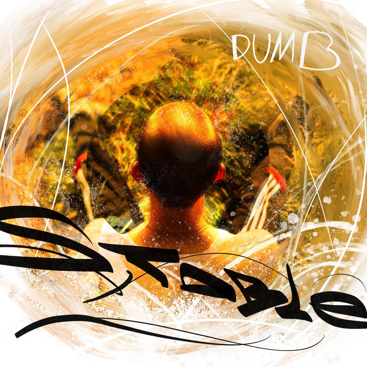 ‎Stable by Dumbeat on Apple Music