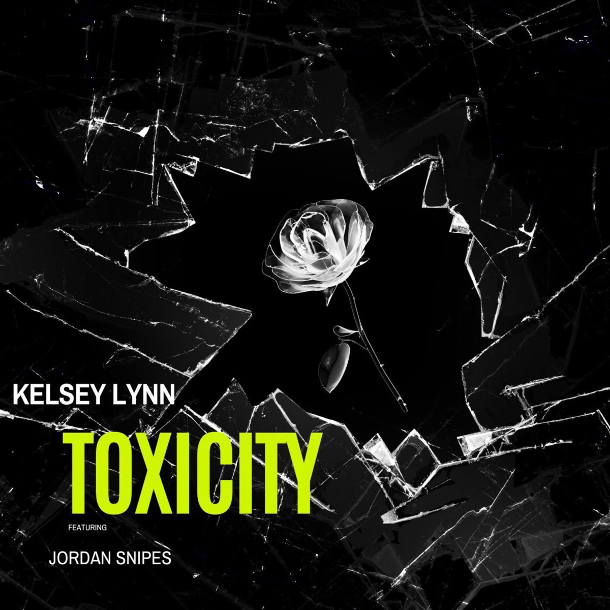 Apple Music 上Kelsey Lynn的专辑《Toxicity (feat. Jordan Snipes) - Single》 Apple Music 上Kelsey Lynn的专辑《Toxicity (feat. Jordan Snipes) - Single》