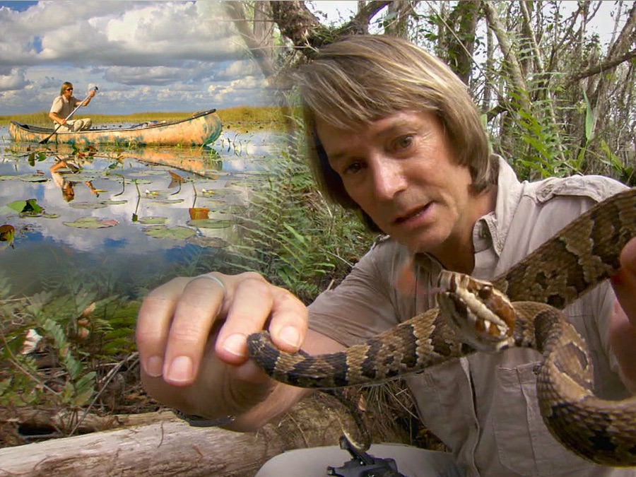 Austin Stevens Adventures | Apple TV (MX)