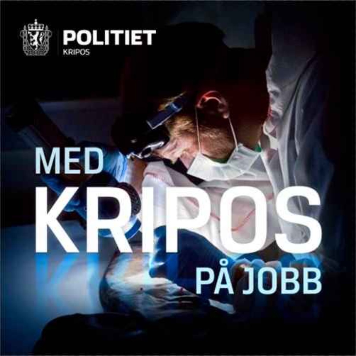 Med Kripos på jobb – Podcast – Podtail