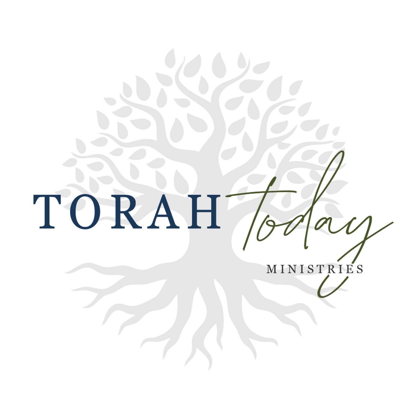 Q A How Do I Avoid The Extremes Of Legalism License Torah Today 