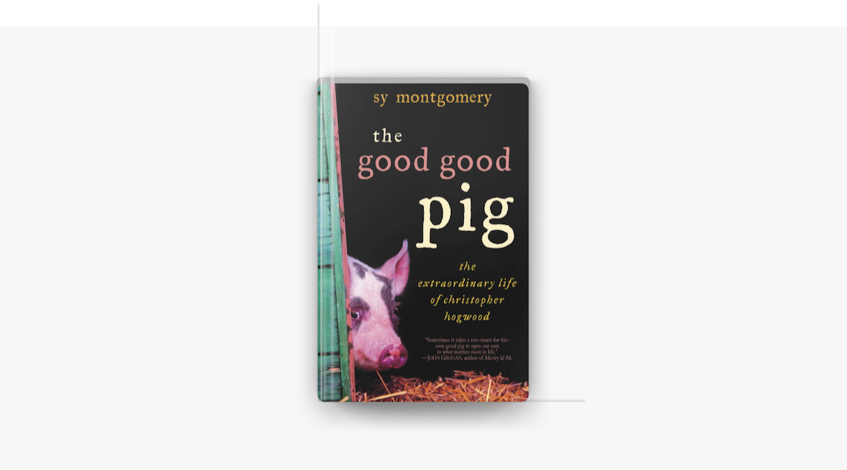 ‎The Good Good Pig on Apple Books