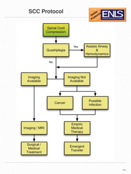 ‎Emergency Neurological Life Support on Apple Books