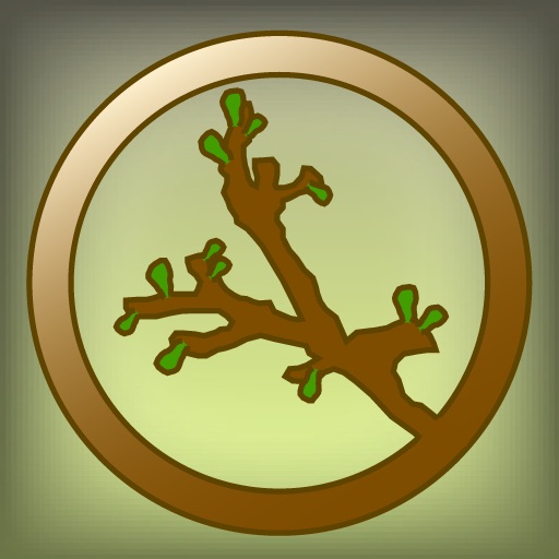 Foraging Flashcards Early Spring by WinterRoot LLC