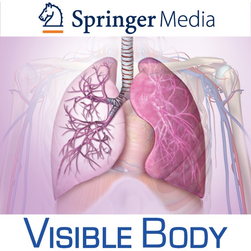 Respiratory Anatomy for Springer (Ademhalingsanatomie voor Springer) by ...