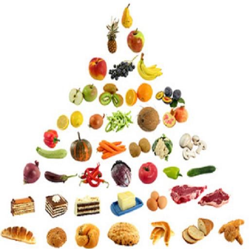 Top 10 Apps Like Food Exchange List In 2021 For IPhone IPad top-10-apps-like-food-exchange-list-in-2021-for-iphone-ipad