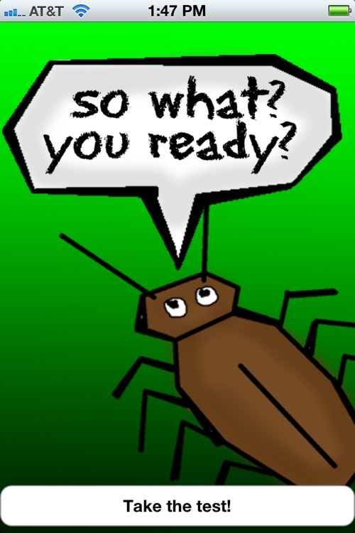 Are You Local? by Filament Partnership