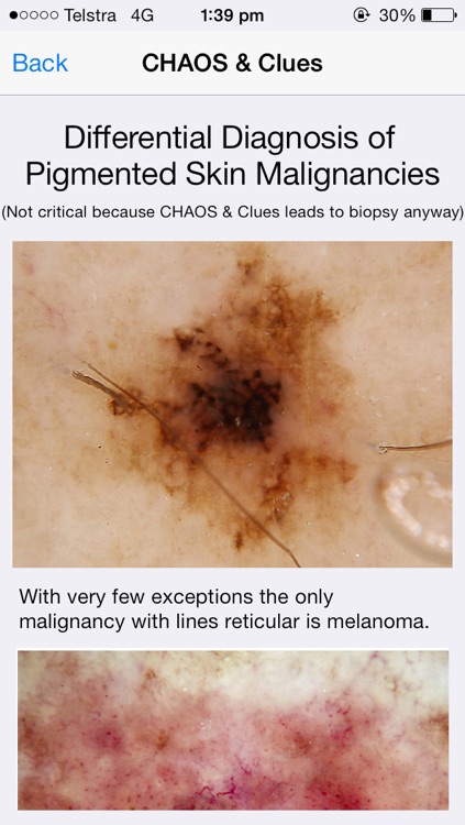 Chaos & Clues by Moayad Al Kaptan