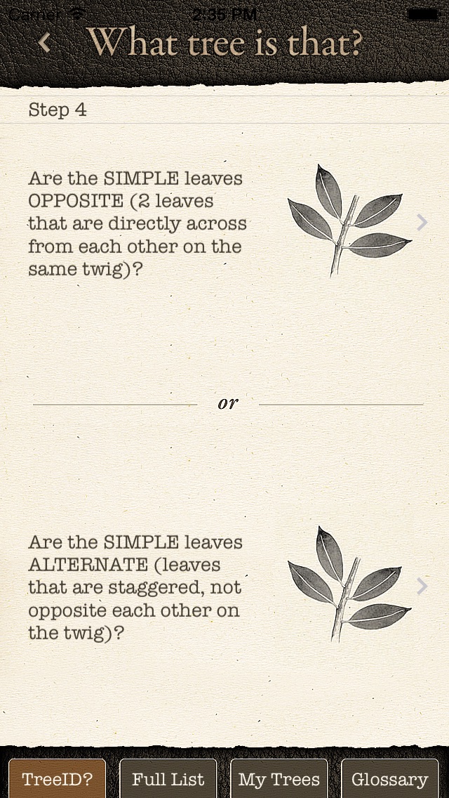 Arbor Day Tree Identification Guide