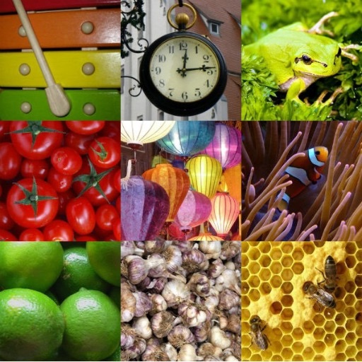 Foto ABC by Thomas Steiner Apps