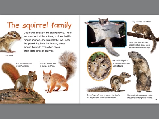 ‎Baby Chipmunks on Apple Books