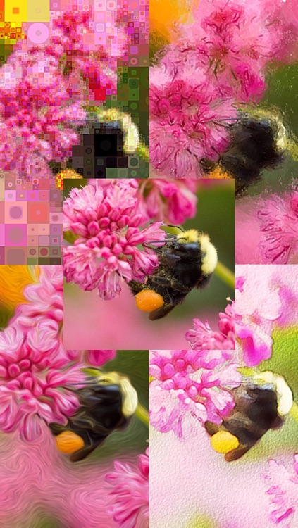 CamVas: Transform your pictures into works of art, right on your camera ...