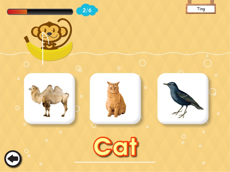 Receptive Labels by Chatterbox