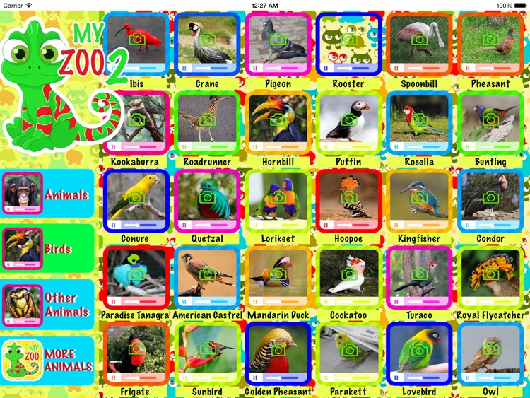 MY ZOO 2 - Learn Animal Names by Alina Yeremenko
